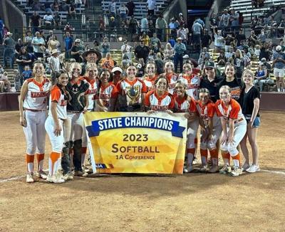 Vikings softball wins 1A State Championships | Sports | williamsnews.com