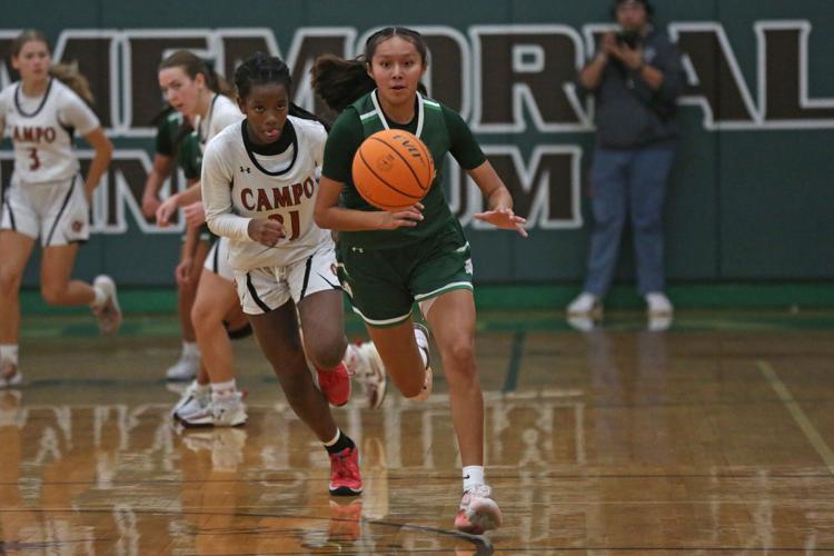 Flagstaff Pepsi basketball tournament | Photo Galleries | williamsnews.com