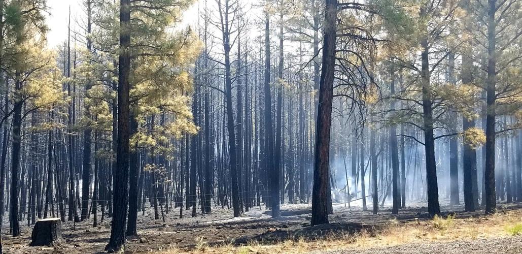 Slate Fire grows to 11,000 acres, Highway 180 reopens | News ...