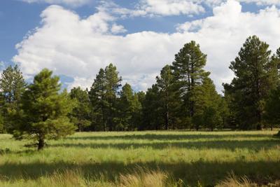 Tusayan completes 2.8 miles of new trails; will make 11.8 miles total ...