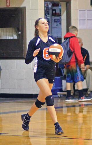 Lady Vikes volleyball players receive regional honors | Sports ...