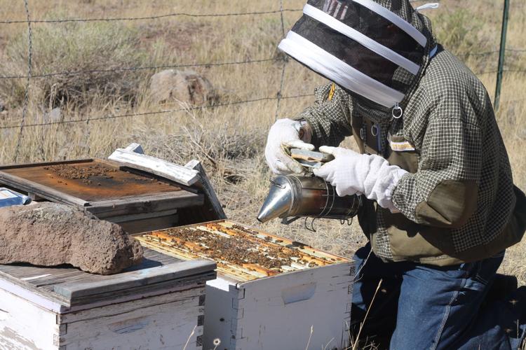 Buzzing with success: Rob Krombeen reflects on beginnings in beekeeping ...