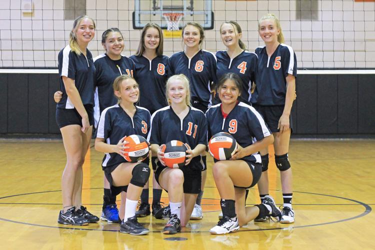 Vikings volleyball and football bring home regional honors | Sports ...