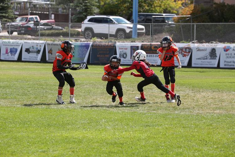 Williams Youth Football vs. Page | Photo Galleries | williamsnews.com