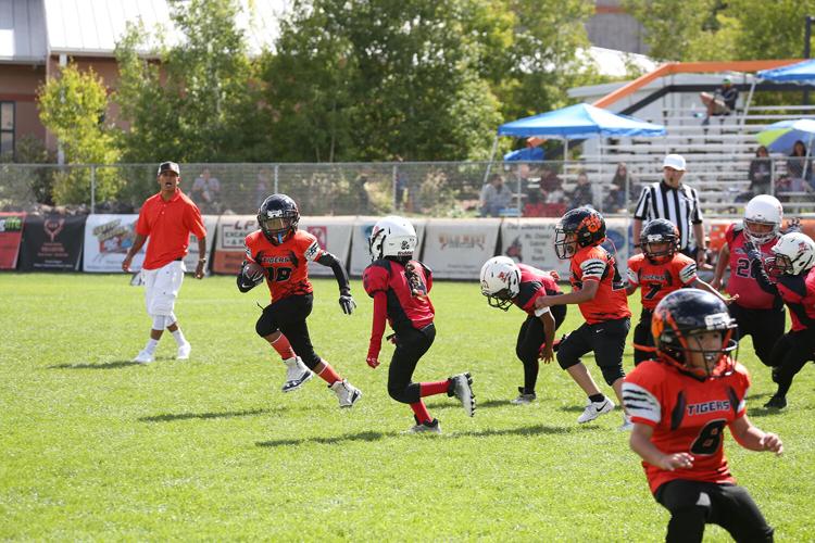Williams Youth Football vs. Page | Photo Galleries | williamsnews.com