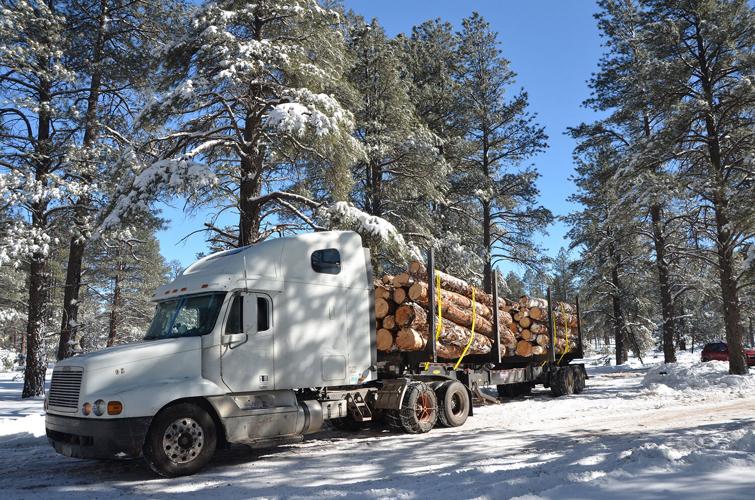 2020 Kaibab Plateau Mangum Fire (photos/Kaibab National Forest) | Photo ...