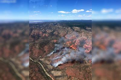 Update: Sycamore fire reaches 230 acres | News | williamsnews.com