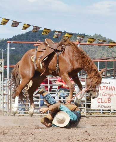 Williams Labor Day Rodeo highlights and results | Features ...