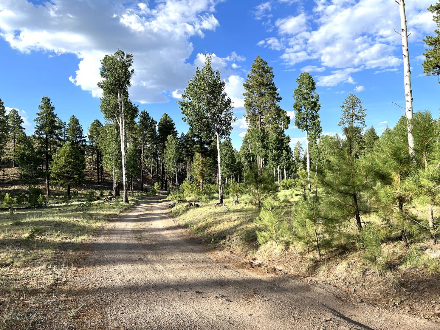 Drake Cement announces rebranding and second mill | Williams Local News ...