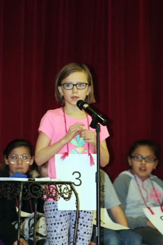 Grand Canyon Elementary Students Compete In Spelling Bee | Photo ...