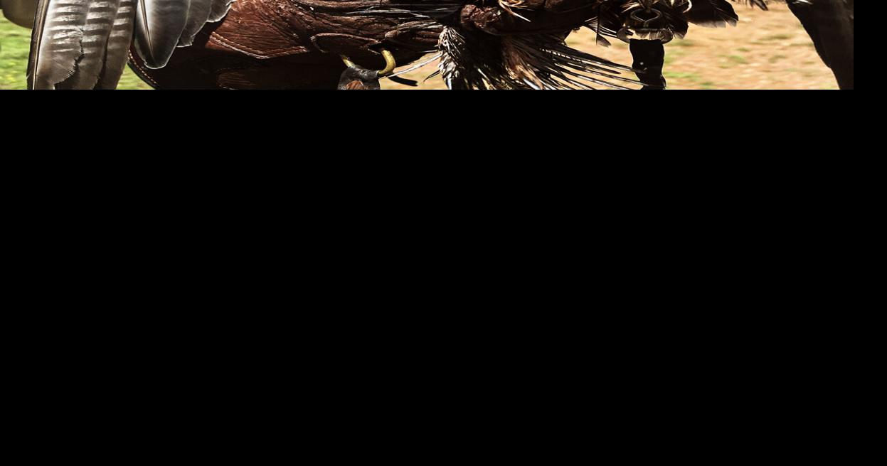 ‘Birds of Play’ event coming to Raptor Ranch at Grand Canyon Junction ...