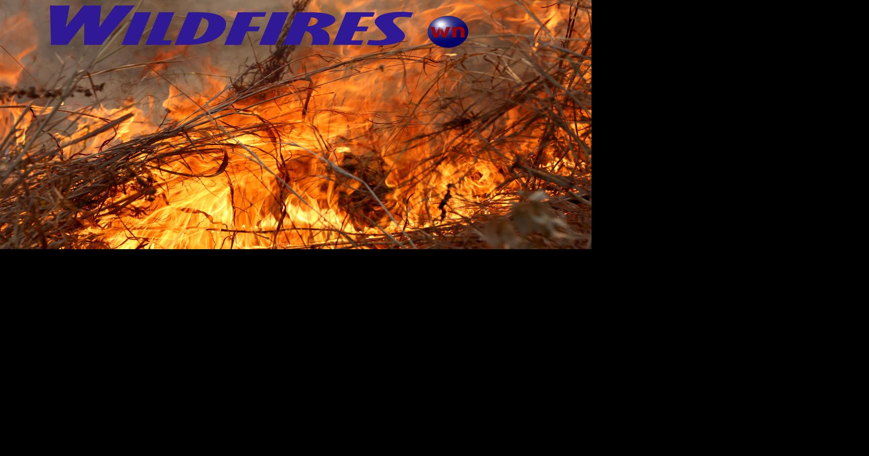 Prescott National Forest crews on scene of Wildcat Fire east of Chino ...