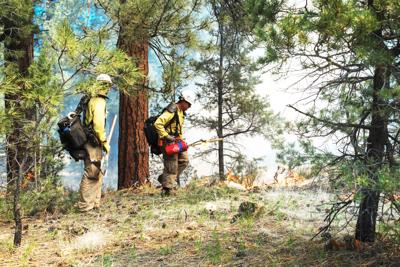Fall prescribed fire operations begin in Williams | Williams Local News ...