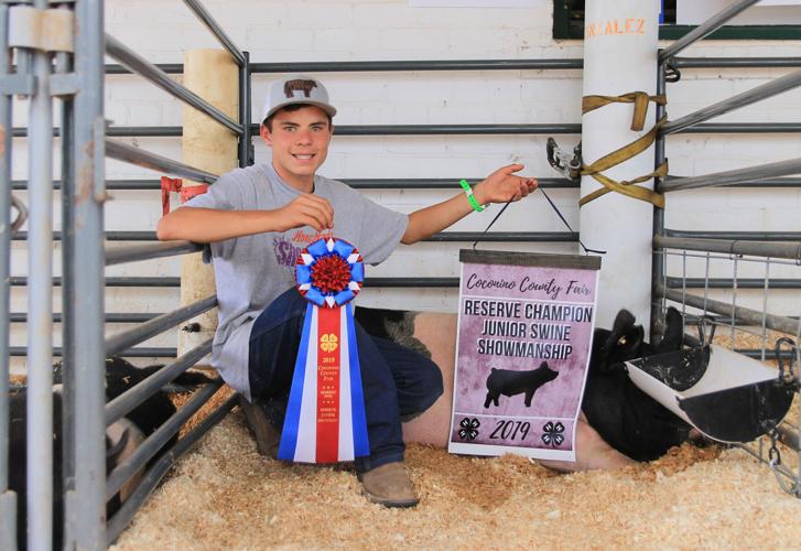 Coconino County Fair 4 H | Photo Galleries | williamsnews.com