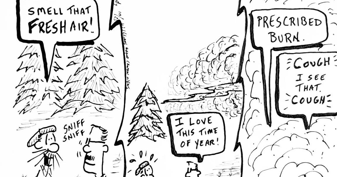 Rowdy: Week of Nov. 5 | Cartoons | williamsnews.com