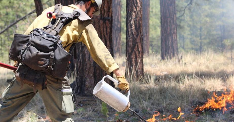 Firefighting crews continue work on Dragon Bravo, White Sage fires ...