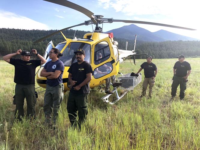 Navajo Region Helitack Crew | Photo Galleries | williamsnews.com