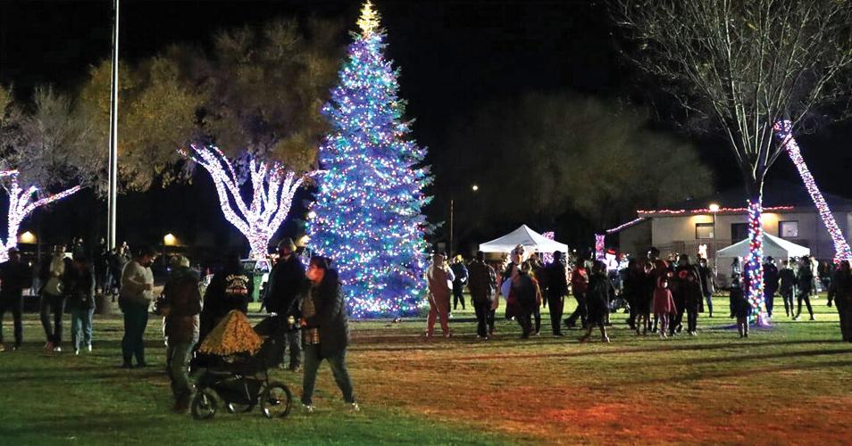Kaibab National Forest provides holiday trees | Grand Canyon Local News ...