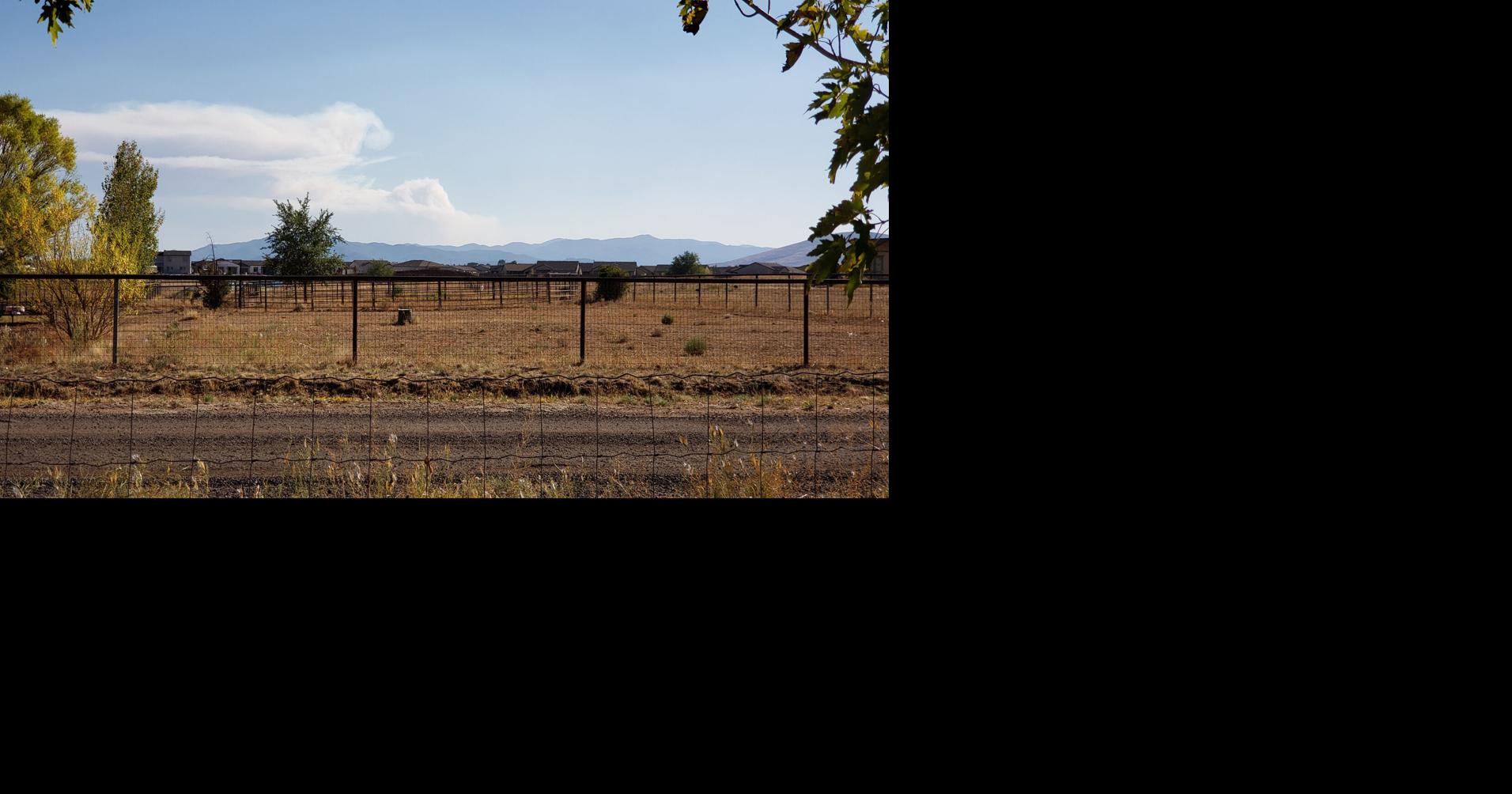 Crown King fire grows nearly 300 acres overnight; 32% contained ...