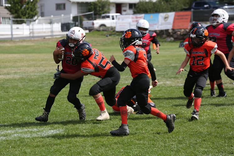 Williams Youth Football vs. Page | Photo Galleries | williamsnews.com