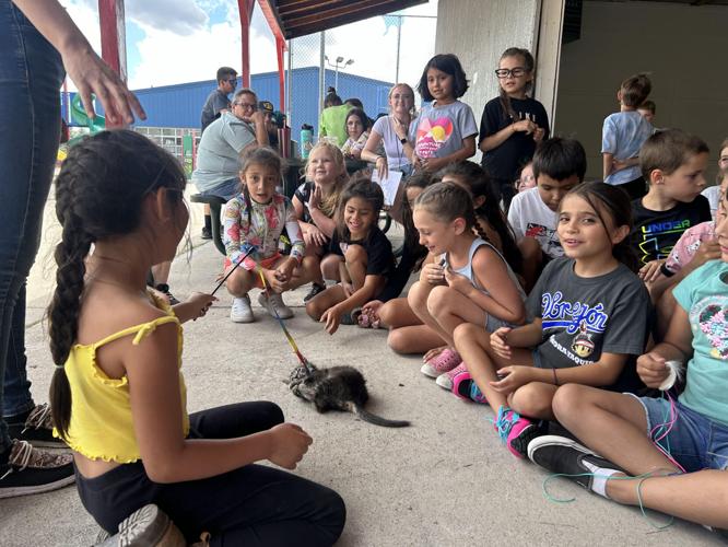 Pets on parade at Williams Summer Recreation | Sports | williamsnews.com