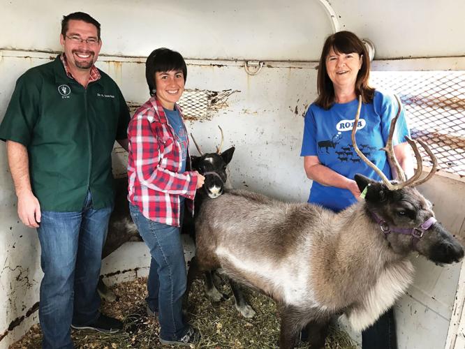 Grand Canyon Deer Farm and Petting Zoo creates holiday magic with ...