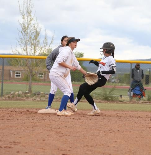 Williams softball advances in state tourney | Sports | williamsnews.com