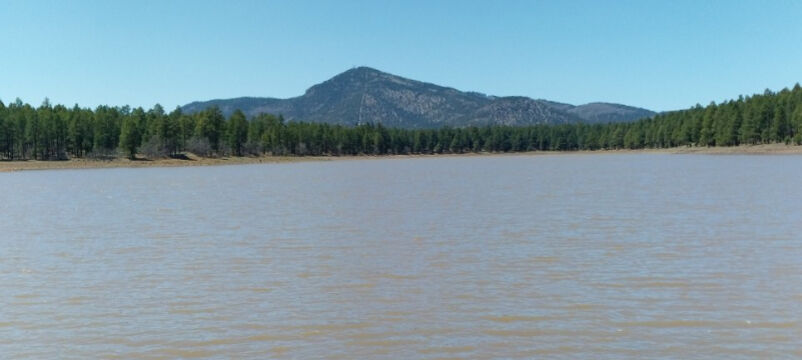 Williams area fishing report from Arizona Game and Fish | News ...