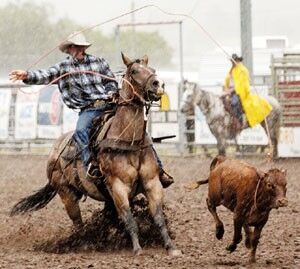 Cowboys to show real ranch skills | News | williamsnews.com