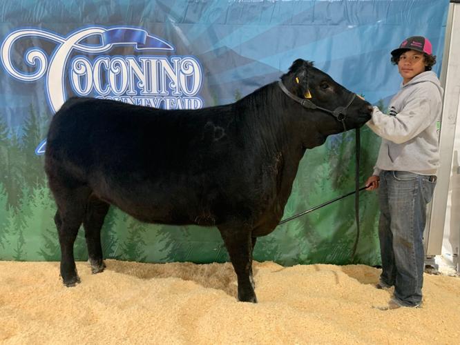 Coconino County Fair 2022 | Photo Galleries | williamsnews.com