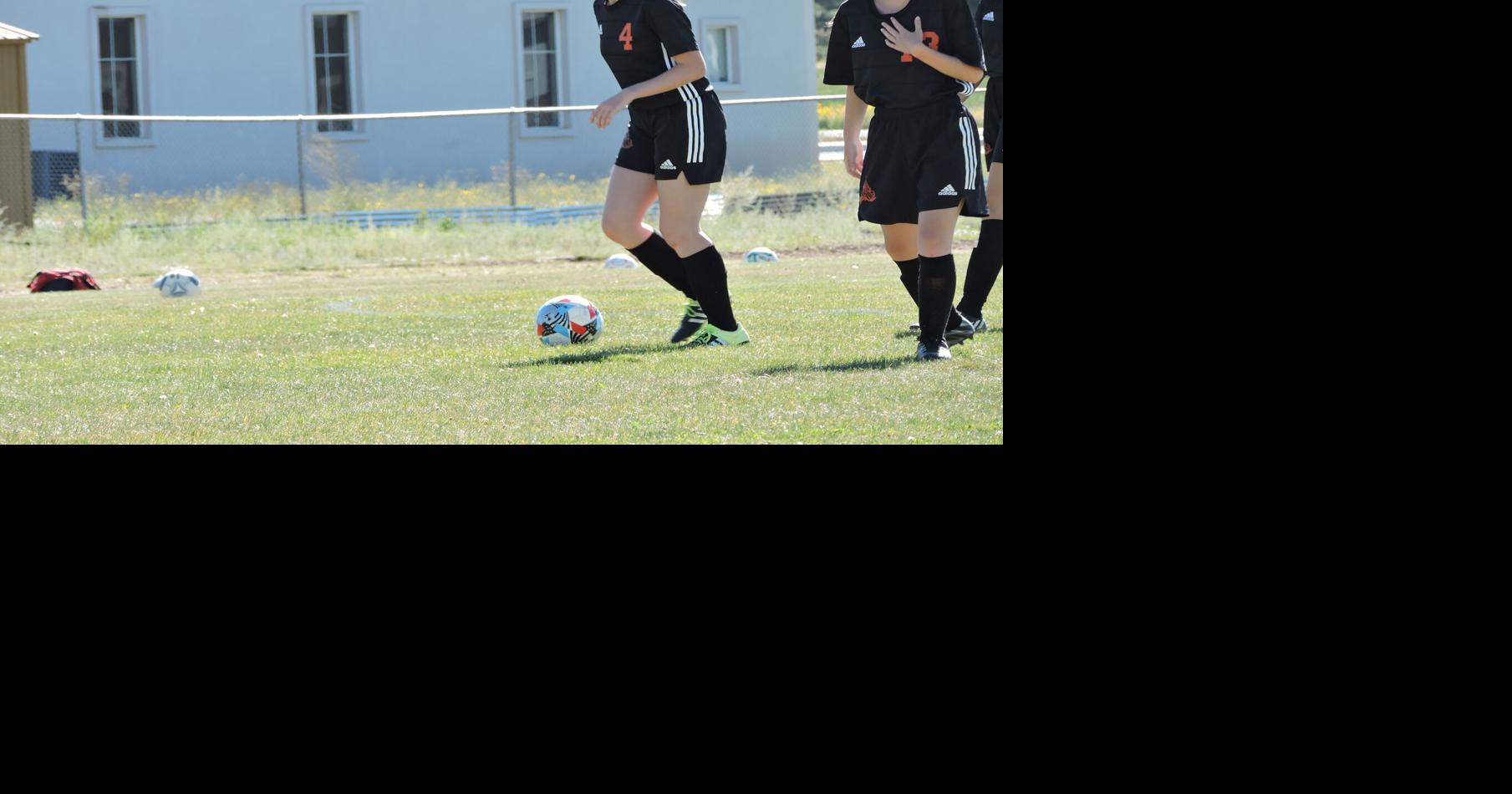 Williams High School co-ed soccer team continue winning streak | Photo ...