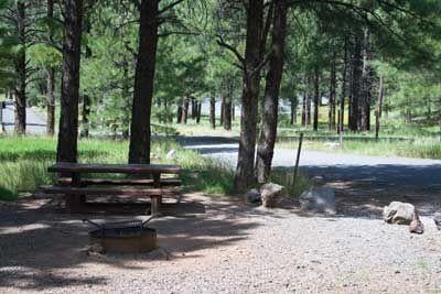 Improvements begin at Kaibab Lake Campground | News | williamsnews.com