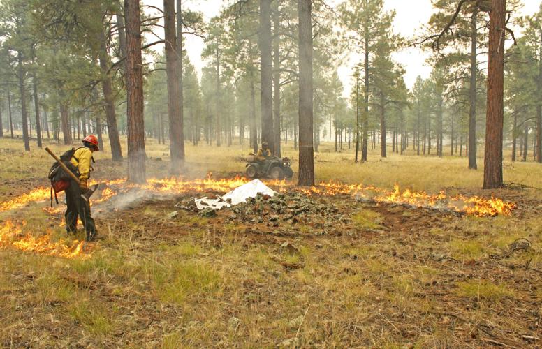 Safeguarding the past: Historic structures are often an uncalculated ...