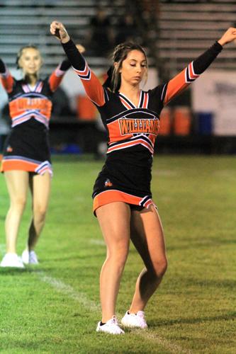 Vikings cheer takes the field at Williams High School | Sports ...
