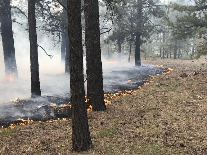 2020 Kaibab Plateau Mangum Fire (photos/Kaibab National Forest) | Photo ...