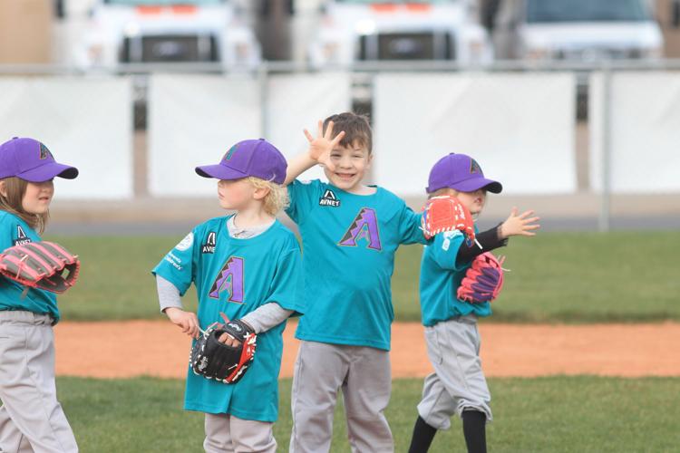 Little League players step up to the plate | | williamsnews.com