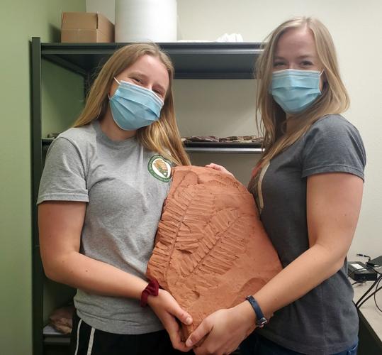 Paleontologist/geologist Anne Miller documents hundreds of millions of ...