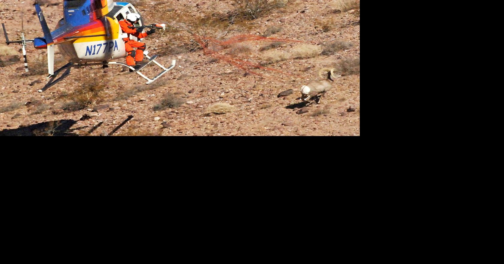 AZGFD opens wildlife manager positions | Grand Canyon Local News ...