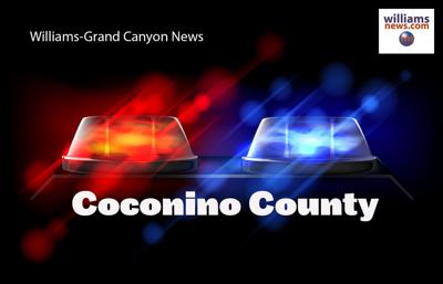 Coconino Sheriff's Office stays busy with winter calls last week | News ...