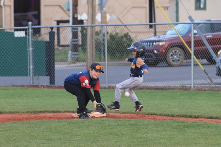 Williams Little League minors baseball teams hit home runs | Sports ...