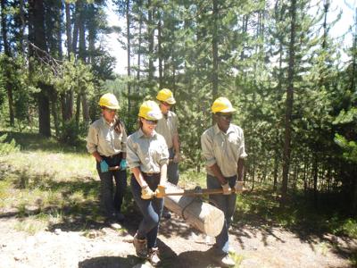 Seeking youth for 2024 Youth Conservation Corps program at Yellowstone National Park | Grand ...