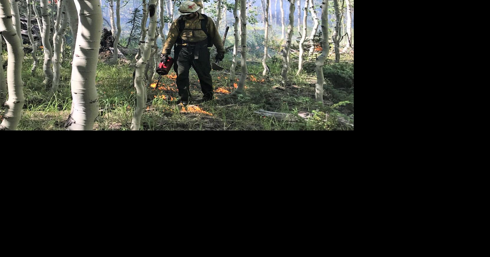 North Rim fires: Ikes Fire crews patrol, hold boundary; Castle Fire ...