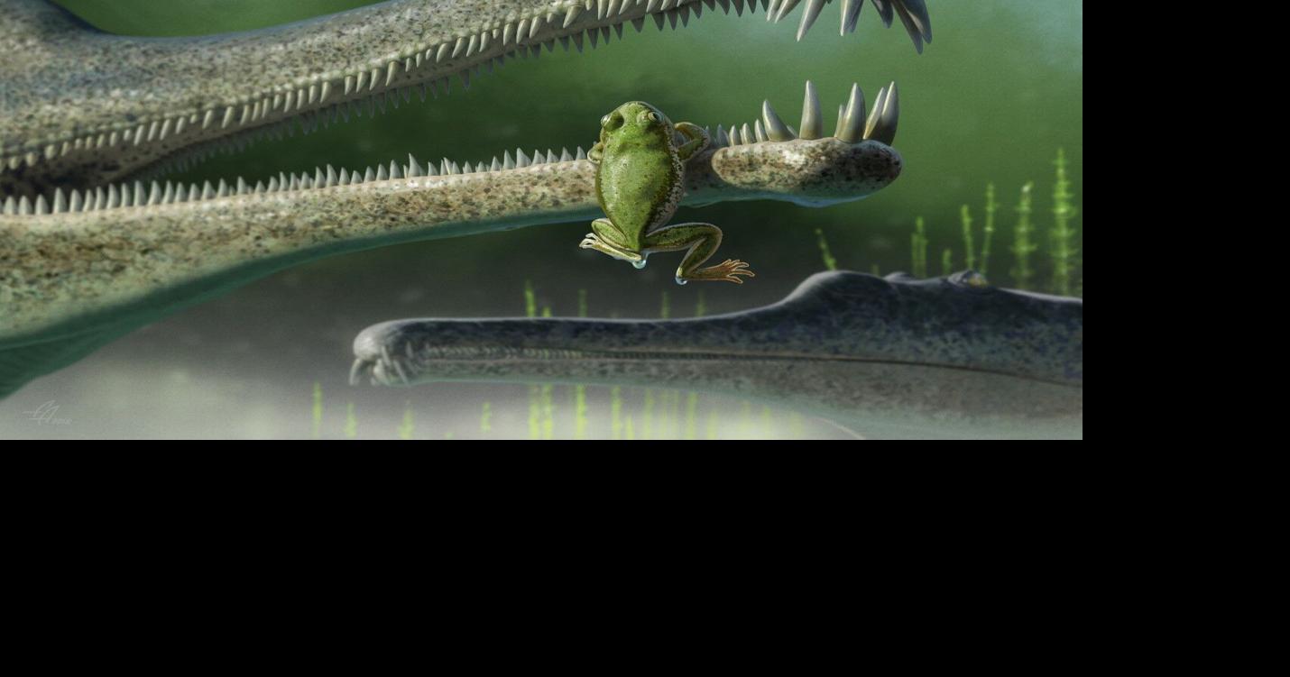 Earliest equatorial frogs reported from Triassic rocks at Petrified ...
