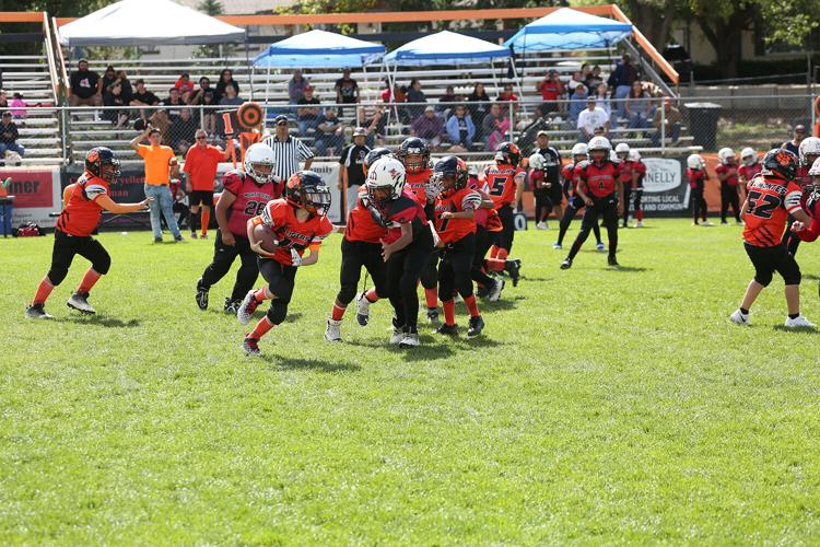 Williams Youth Football vs. Page | Photo Galleries | williamsnews.com