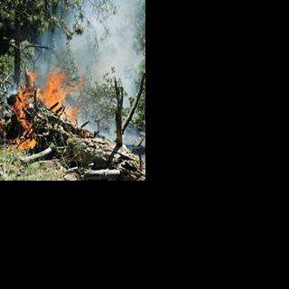 Kaibab National Forest Fire Update | News | williamsnews.com