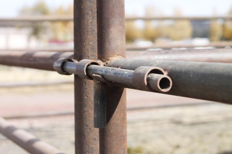 Horse stalls at Rodeo Grounds get upgrades and new corrals | Features ...