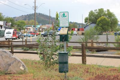 Letter: Dog poop is everywhere | Opinion | williamsnews.com