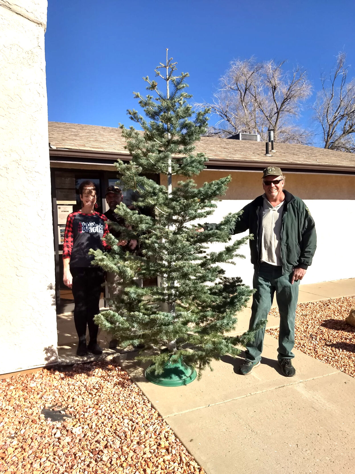Kaibab National Forest provides holiday trees | Grand Canyon Local News ...