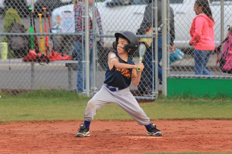 Williams Little League minors baseball teams hit home runs | Sports ...