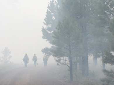 Beale Fire exceeds 5,000 acres | News | williamsnews.com